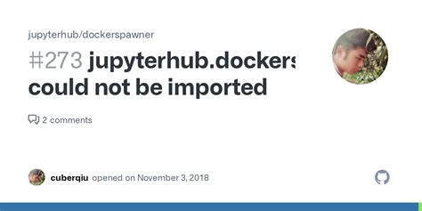 Jupyterhub Dockerspawner DockerSpawner Could Not Be Imported Issue Jupyterhub
