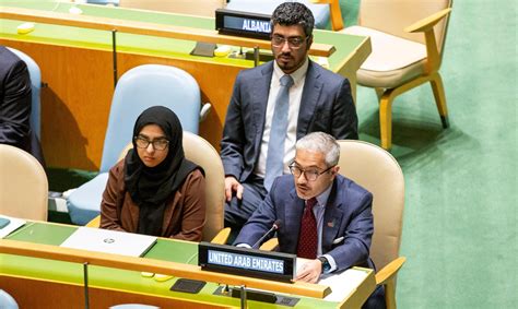 Uae Statement At The Un General Assembly High Level Event In