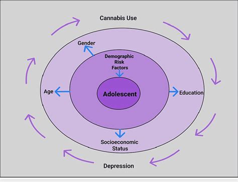 Demographic Risk Factors And The Cyclical Relationship Between