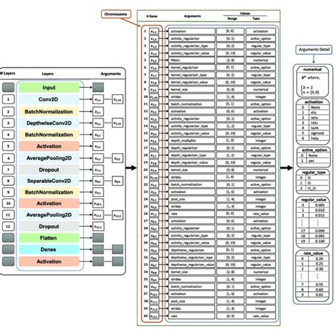 eegnet baseline architecture download scientific diagram