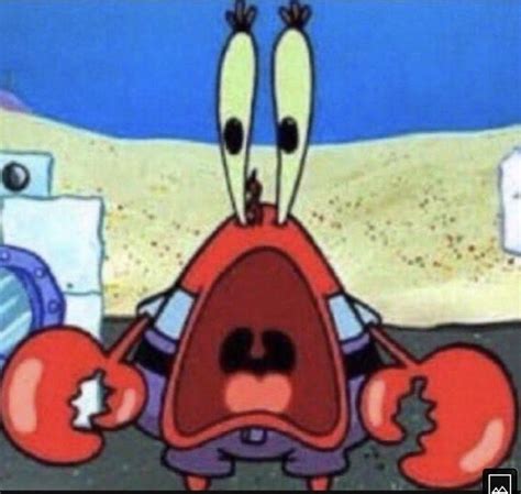 Pin By Anita On Memes Spongebob Funny Pictures Cute Memes Spongebob