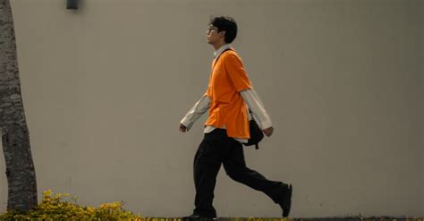 가로 방향 가을 색조 거리 거리 사진 거리 장면 걷고 있는 걷는 사람 공공 장소 기와 나무 남자 낮 녹지 다바오 다바오시 도시 거리 도시 경관