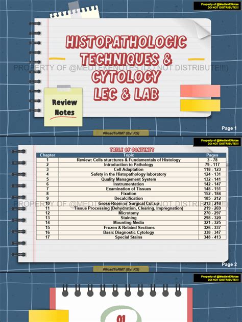 E Notes Histopath Lec And Lab Download Free Pdf Epithelium