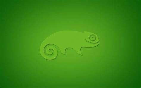 Operating Systems Linux Computer Opensuse Green Wallpapers Hd Desktop And Mobile Backgrounds