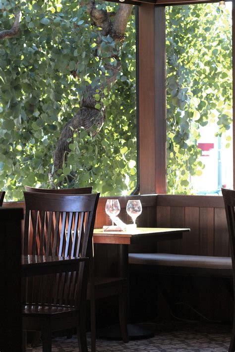 The Wolf Discover And Dine—book Your Visit
