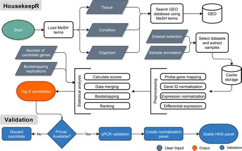 Housekeepr Algorithm Flow Chart First Mesh Terms Are Parsed And