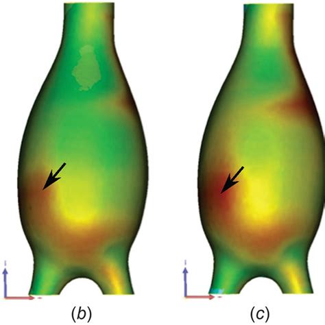 Qualitative Visualization Of The Distance Distribution Between The