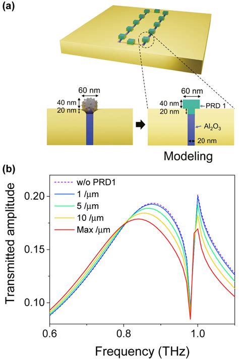 Full Wave Numerical Simulations A Schematic Illustrations Of The Download Scientific Diagram