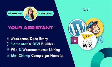 Do Wordpress Wix Woocommerce Data Entry And Product Listing By Skilled Corner Fiverr