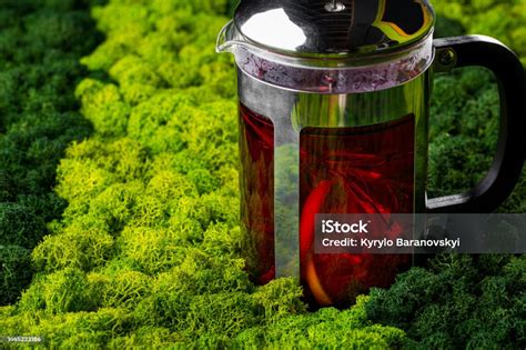 유리 프렌치 브루 프레스에 히비스커스 과일 차 내부에는 레몬 쐐기 로즈마리 가지 및 꽃잎이 있습니다 요리는 녹색과 밝은 녹색의 안정화 된 이끼의 배경에 설정됩니다 0명에