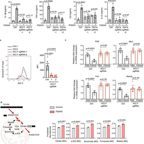 Ping Chih Ho University Of Lausanne Lausanne Unil Cancer Centre