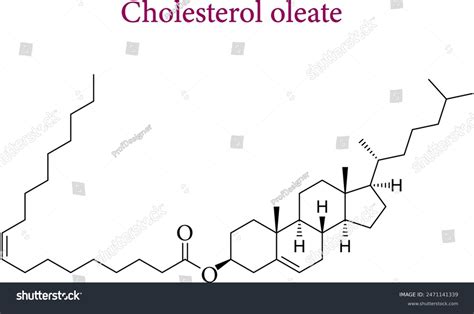Chemical Structure Cholesterol Oleate Vector Illustration Stock Vector Royalty Free 2471141339