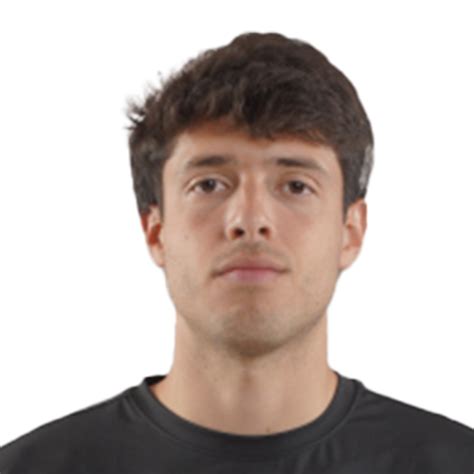 Players Professional Padel Players Directory Padel Stats