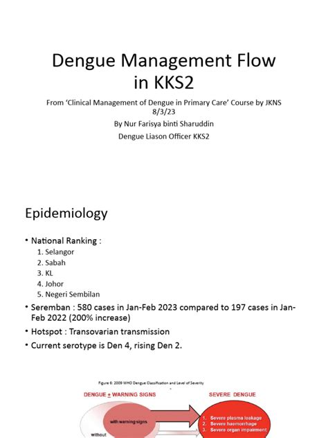 Dengue Cpg Presentation Pdf Clinical Medicine Medical Specialties