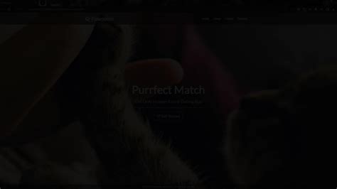 Video Yuvraj Jadhav On Linkedin Html Css Internship