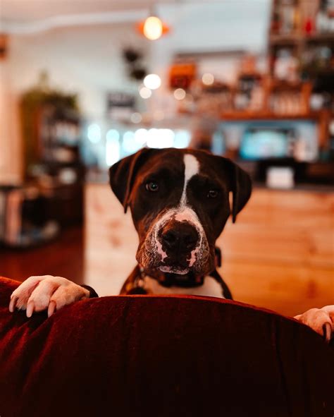Meet The Bartender Edwin Beats Six Ounces Restaurant And Café