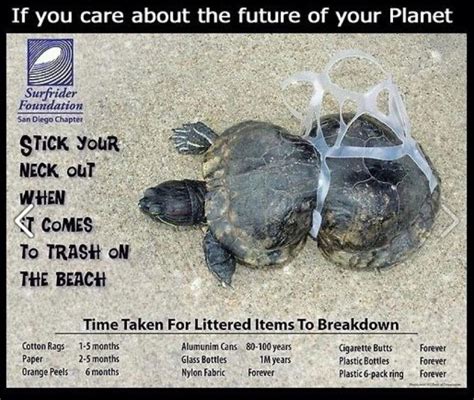 Help Save Our Planet Turtle Dieren In Nood Dieren