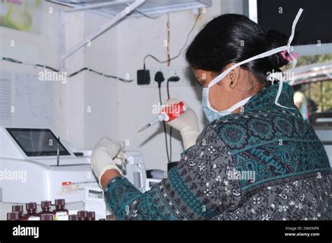 Lady Pathologist Processing Samples At The Pathology Laboratory For
