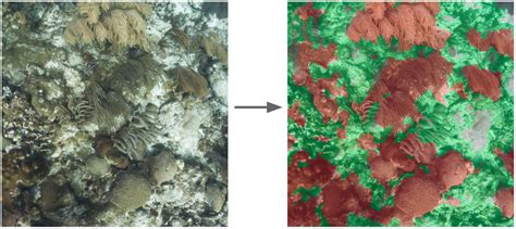 A Possible Result Of The Rolling Window Method Where The Red Implies