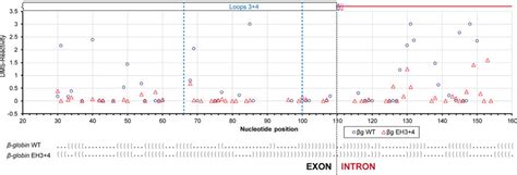 Distribution Of Eseess Counts In The Exonic Segments Flanking The