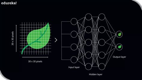 What Is A Neural Network Edureka PDF Artificial Intelligence Technology Computing