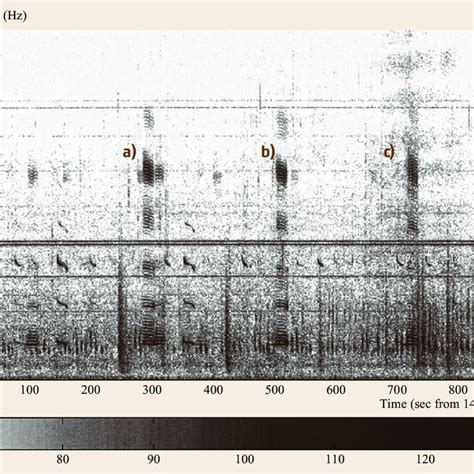 18 Passive And Active Sonar For Submarine Detection Passive The