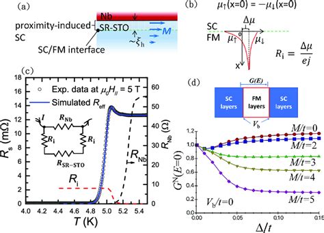 The Resistor Network Model With Scfm Interface Resistance A An
