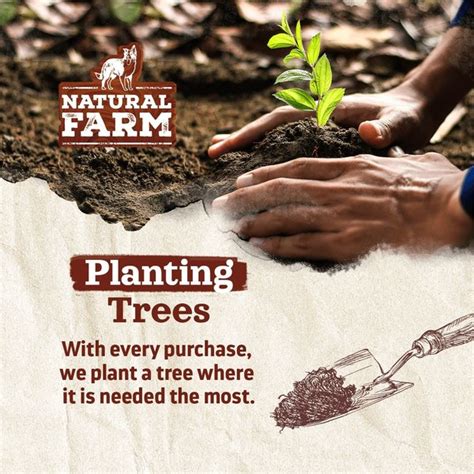 Natural Farm Pixie Beef Bully Sticks Dog Treats 10 In 12 Count