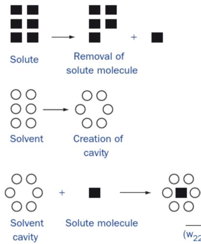 Solubility Flashcards Quizlet
