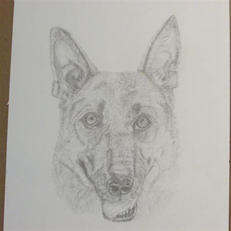 Indy Anna Bones By Jjjjoooooppppp On Deviantart