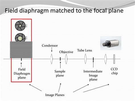 Ppt Method Of Obtaining Optical Sectioning By Using Structured Light In A Conventional