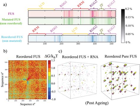 The Location Of The Strong Rna‐binding Domains In Fus Is Compelling To