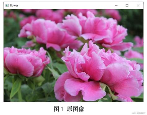 【计算机视觉】opencv 4高级编程与项目实战（python版）【4】：通道详解opencv蒙娜丽宁 讯飞ai开发者社区