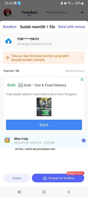 Tutorial Download File Terabox Dari Komputer Dan Smartphone - Blog Orang IT