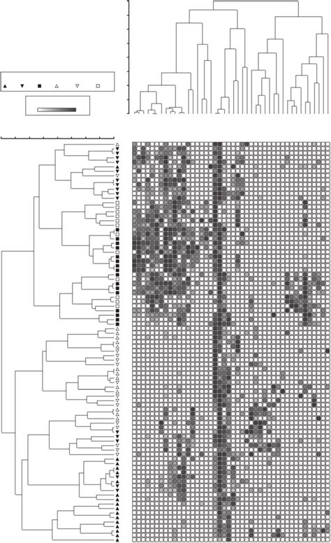 Two Way Cluster Analysis Of Plots Vertical Dendrogram And Species