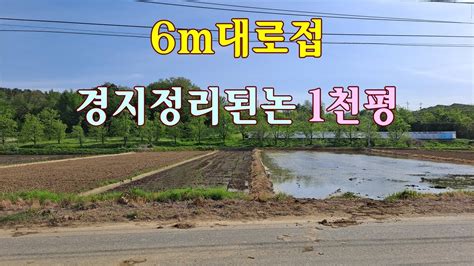 상주시 외남면 신상리 대로접 한 논 천평 경지정리 되어 있고 일조권좋은 논 YouTube