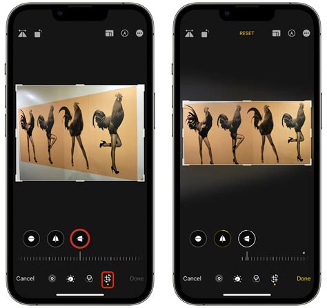 Rotate Skew And Crop A Photo On IPhone Cult Of Mac