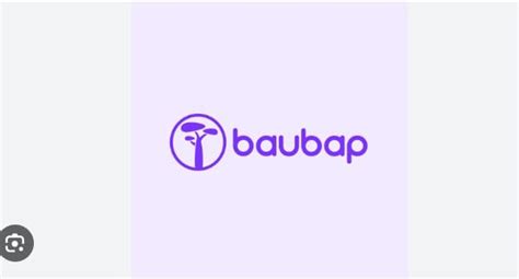 ¿baubap Es Seguro Análisis De Transparencia Y Préstamos App