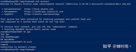 基于docker搭建hadoop完全分布式集群 知乎