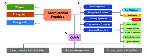 Classification Of Amps On The Basis Of Various Criteria A Based On