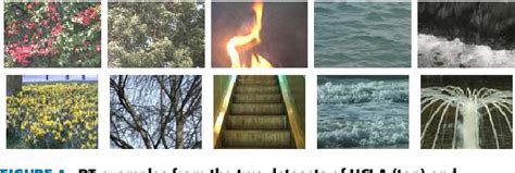 Figure 1 From Dynamic Texture Classification Using Directional