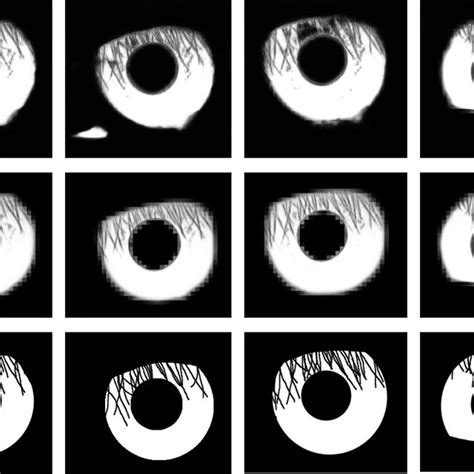 Comparison Of Segmentation Results With Batch Normalizationtop