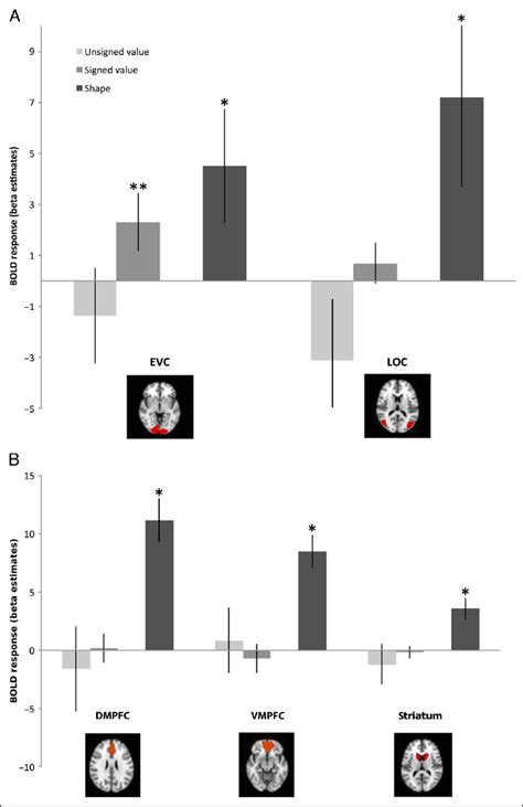 A Visual Brain Regions Showing Adaptation Effects During The
