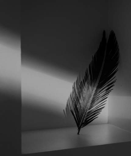 4 And 5 Bhk Luxury Apartments In Kolkata Orbit Bella