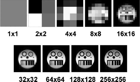 Figure 2 From Reporting Of Quantitative Oxygen Mapping In Epr Imaging Semantic Scholar