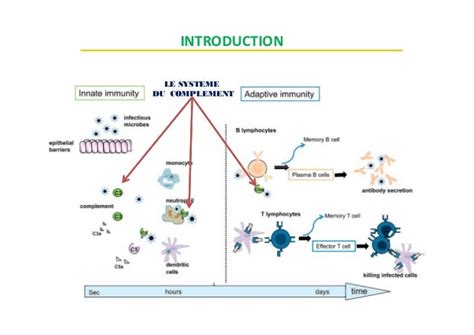 Cours Complement Medecine 2016 Cours Complement Medecine 2016
