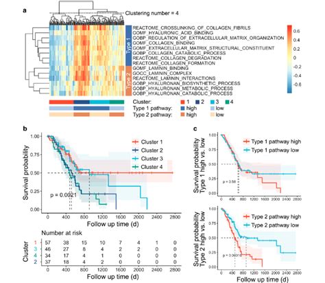 Tcga Paad Patient Clustering Based On Pancreatic Cancer Matrix A