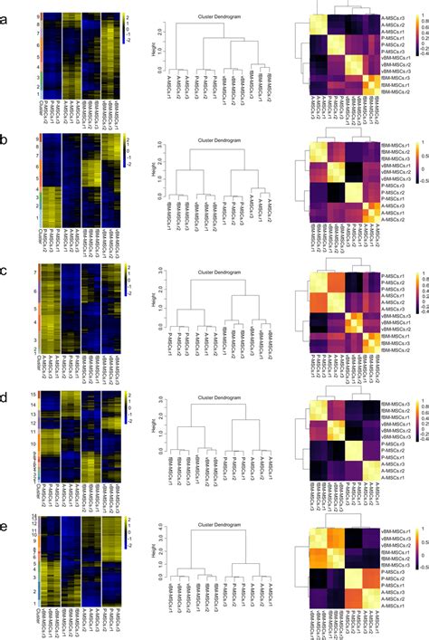 Iterative Clustering And Guide Gene Selection Icgs Clustering Results