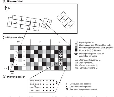 Figure From Disentangling Tree Species Identity And Richness Effects On The Herb Layer First