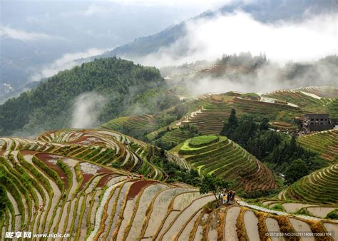 龙胜龙脊梯田风光摄影图 自然风景 自然景观 摄影图库 昵图网